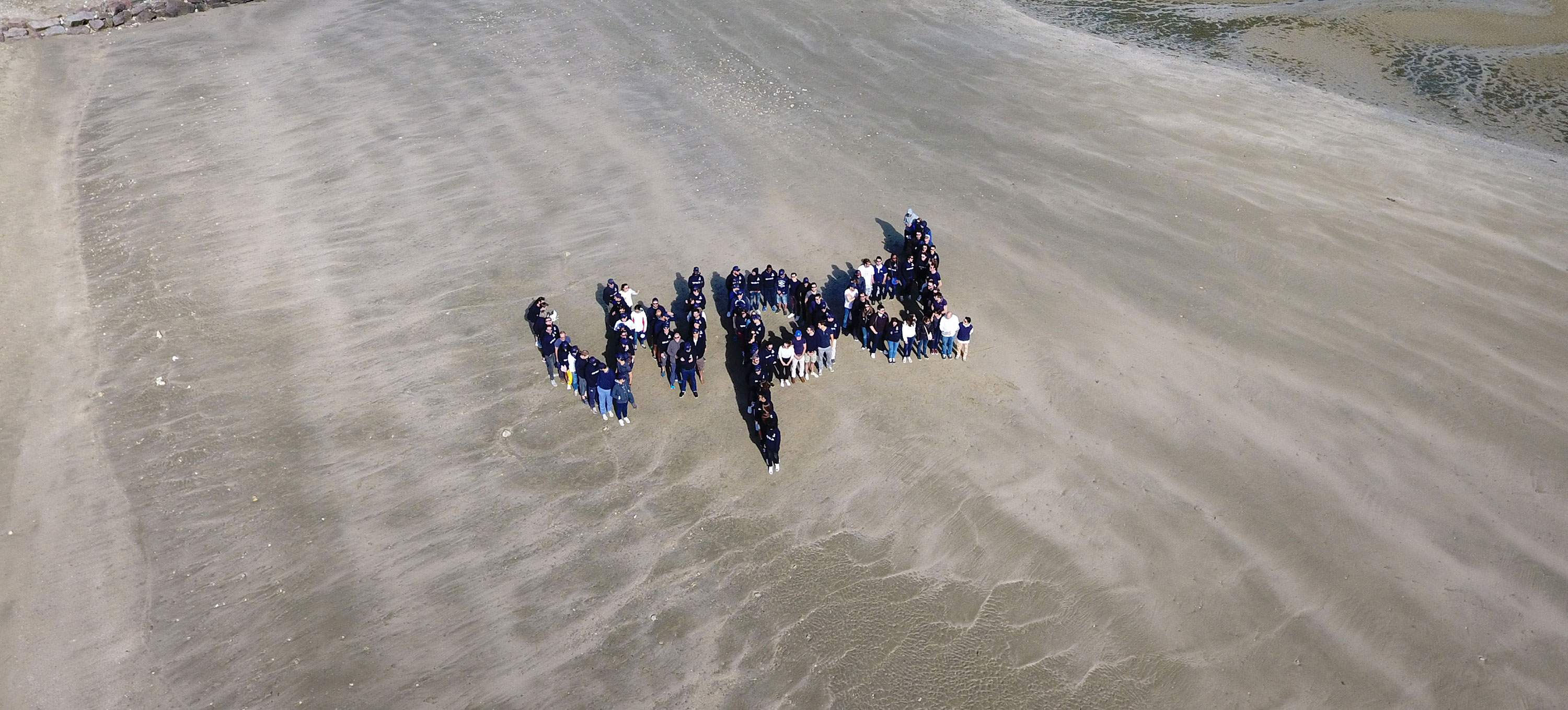 Carrière - wpd France : wpd France